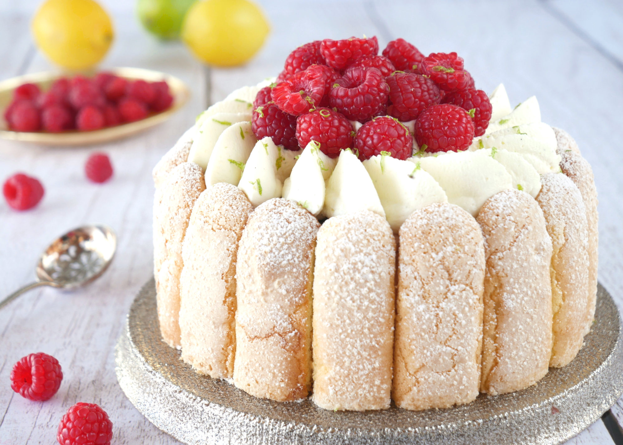 Charlotte Framboise Yuzu - PastryFreak